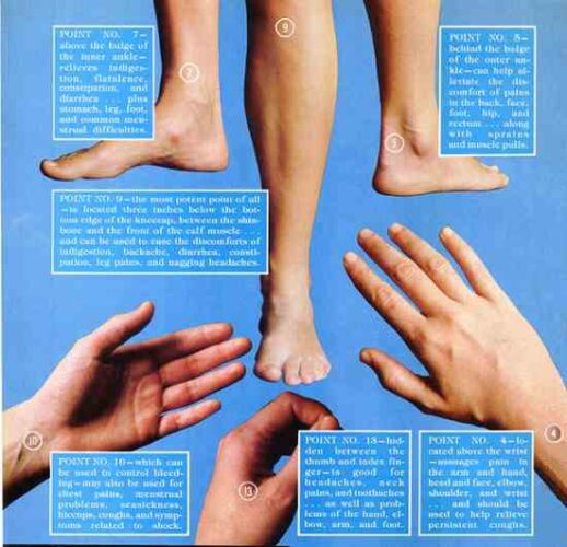 Learn G-Jo: Acupuncture Without Needles – Mother Earth News